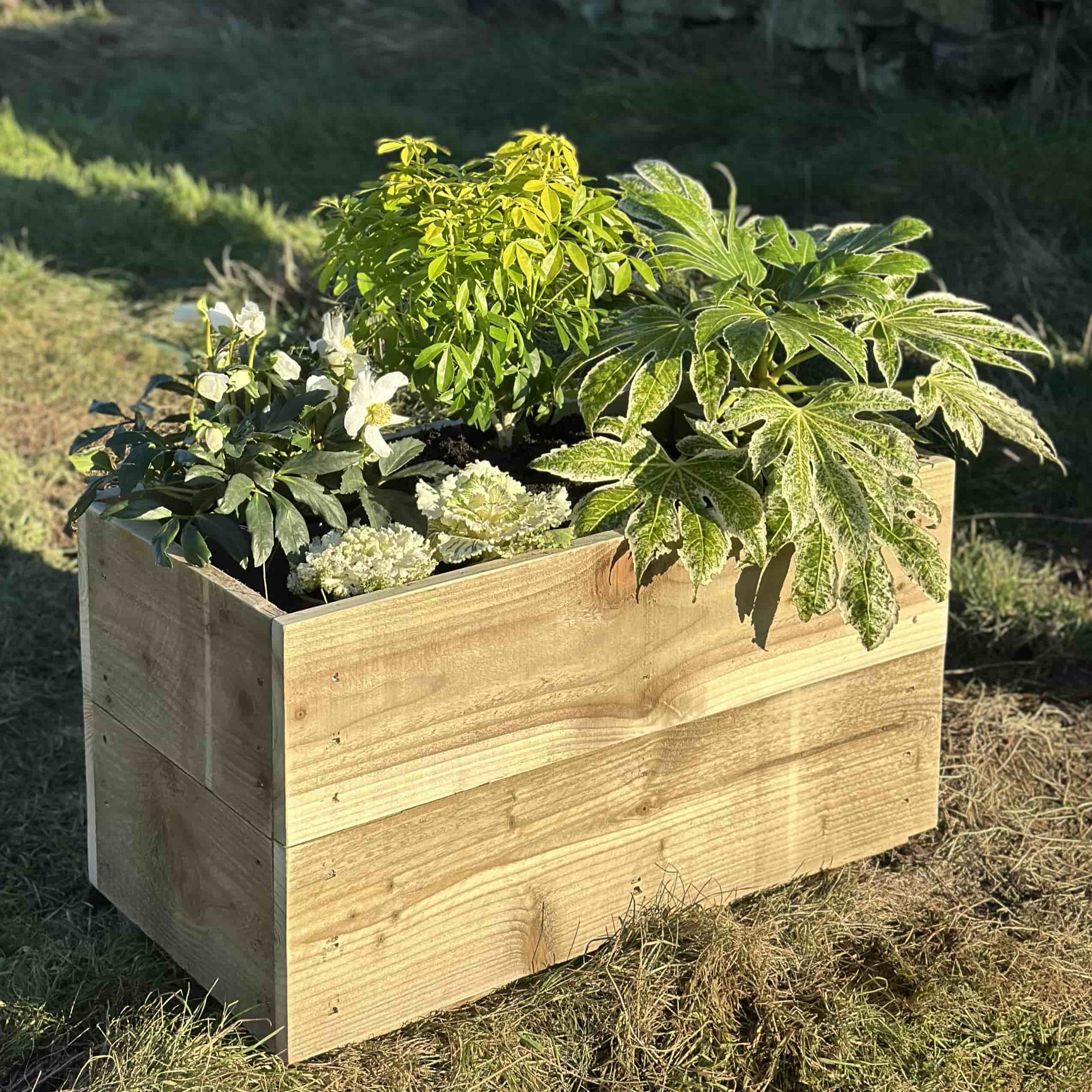 Wooden Planter Box – Timber Foundry
